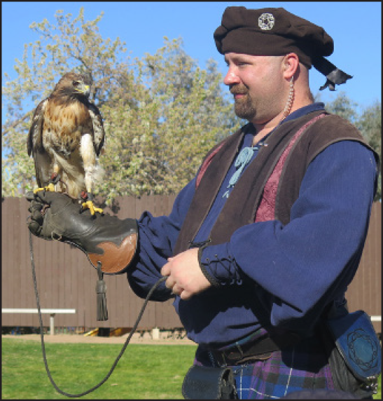 hawk guy – Mesa Legend